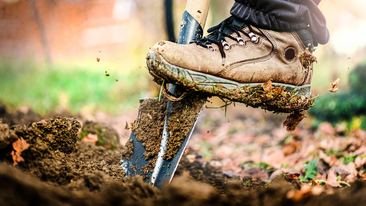 4 Tips To Safely Dig a Hole in Your Backyard - The Florida Villager ...