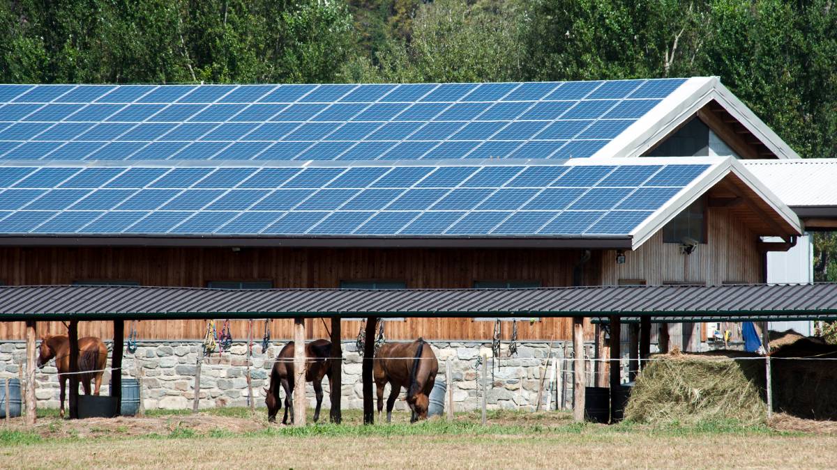 4 Reasons Farmers Should Switch to Solar Panels